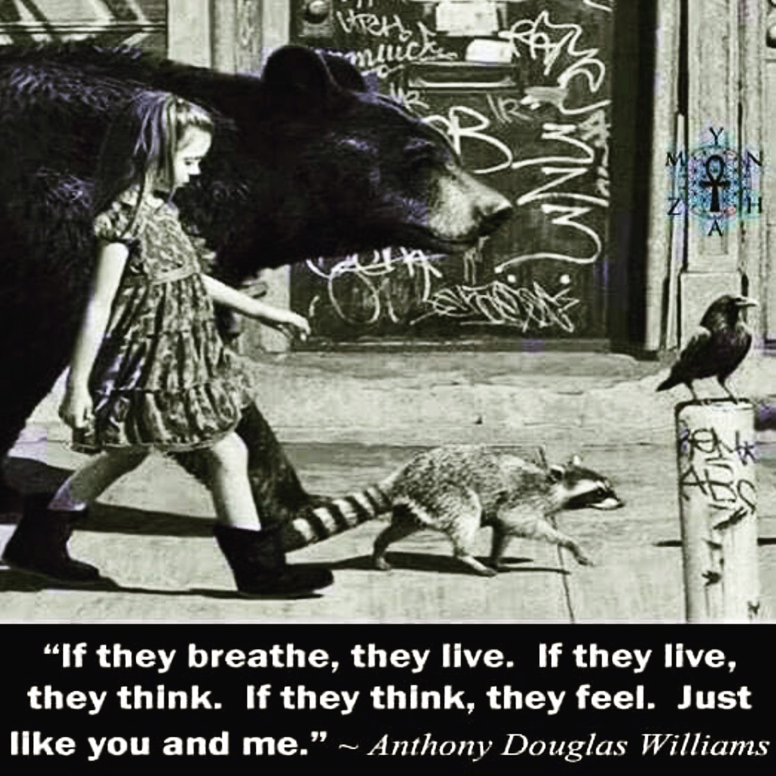 What’s The Difference Between Becoming A Human And Being A Human ...