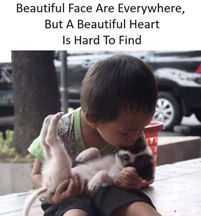 A Rare Sight Which Is Rarely Visible! – Hena's Blog For Paws