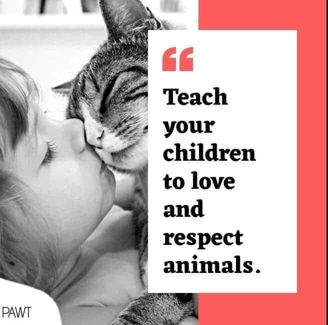 Teach Your Children Empathy And Kindness Towards Animals – Hena's Blog ...
