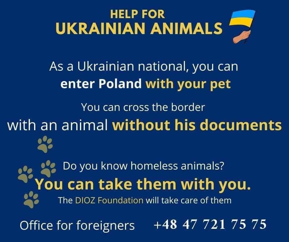 Ukraine: A Big Thank You To Poland – Hena's Blog For Paws
